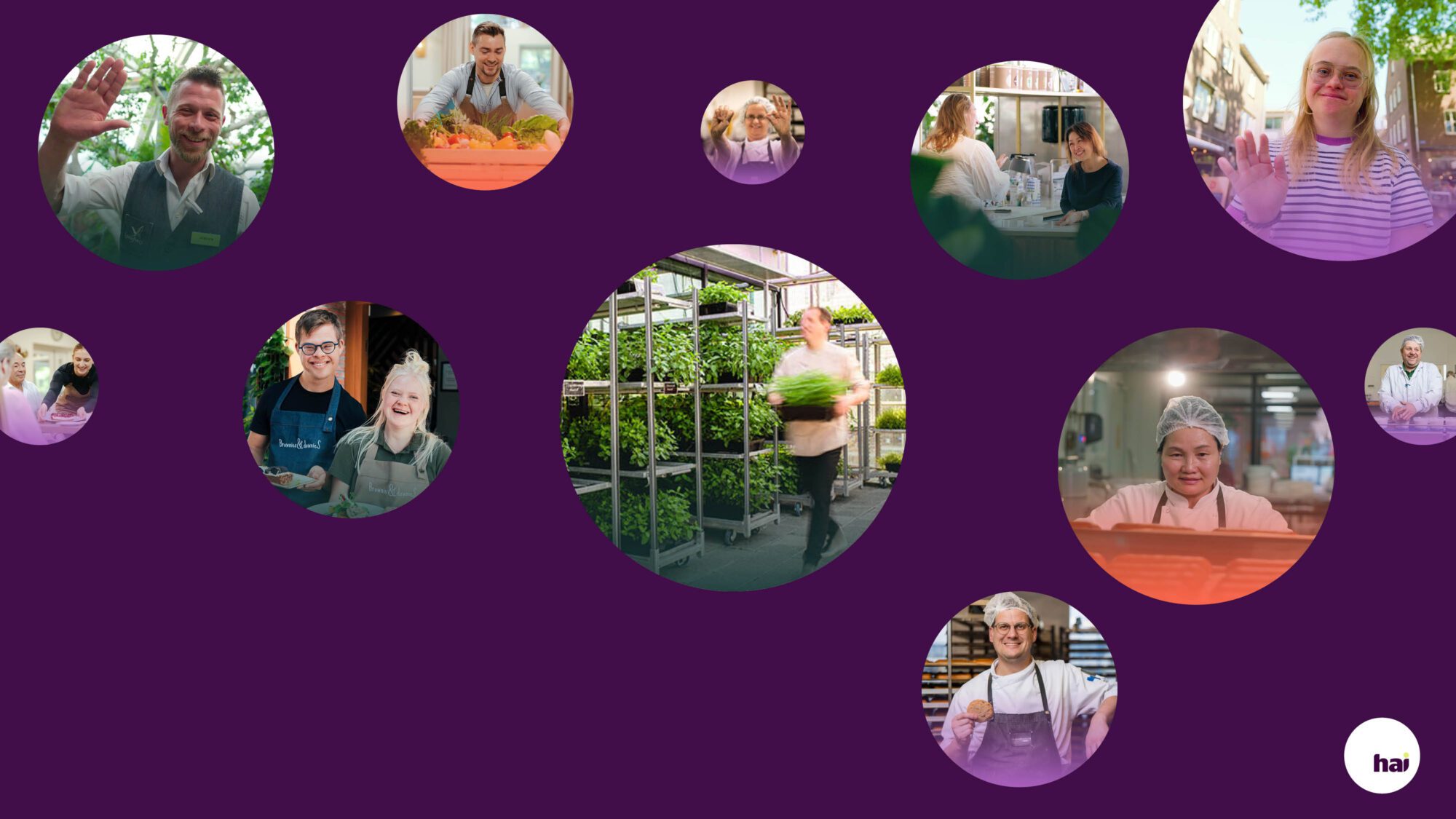 Hai Impact House – plek waar impactondernemers groeien | Hai